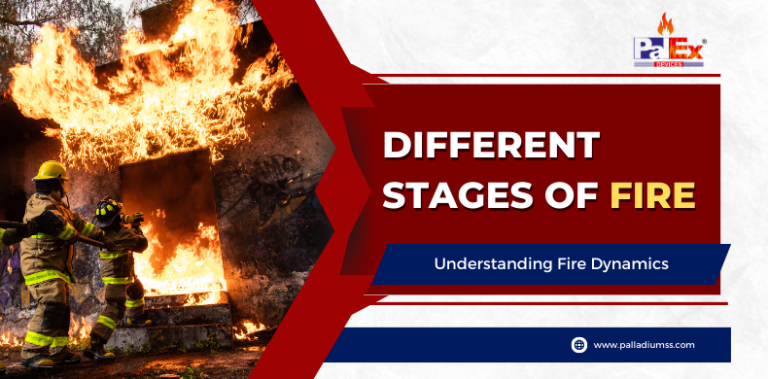 Different Fire Stages: Understanding Fire Dynamics | Palex